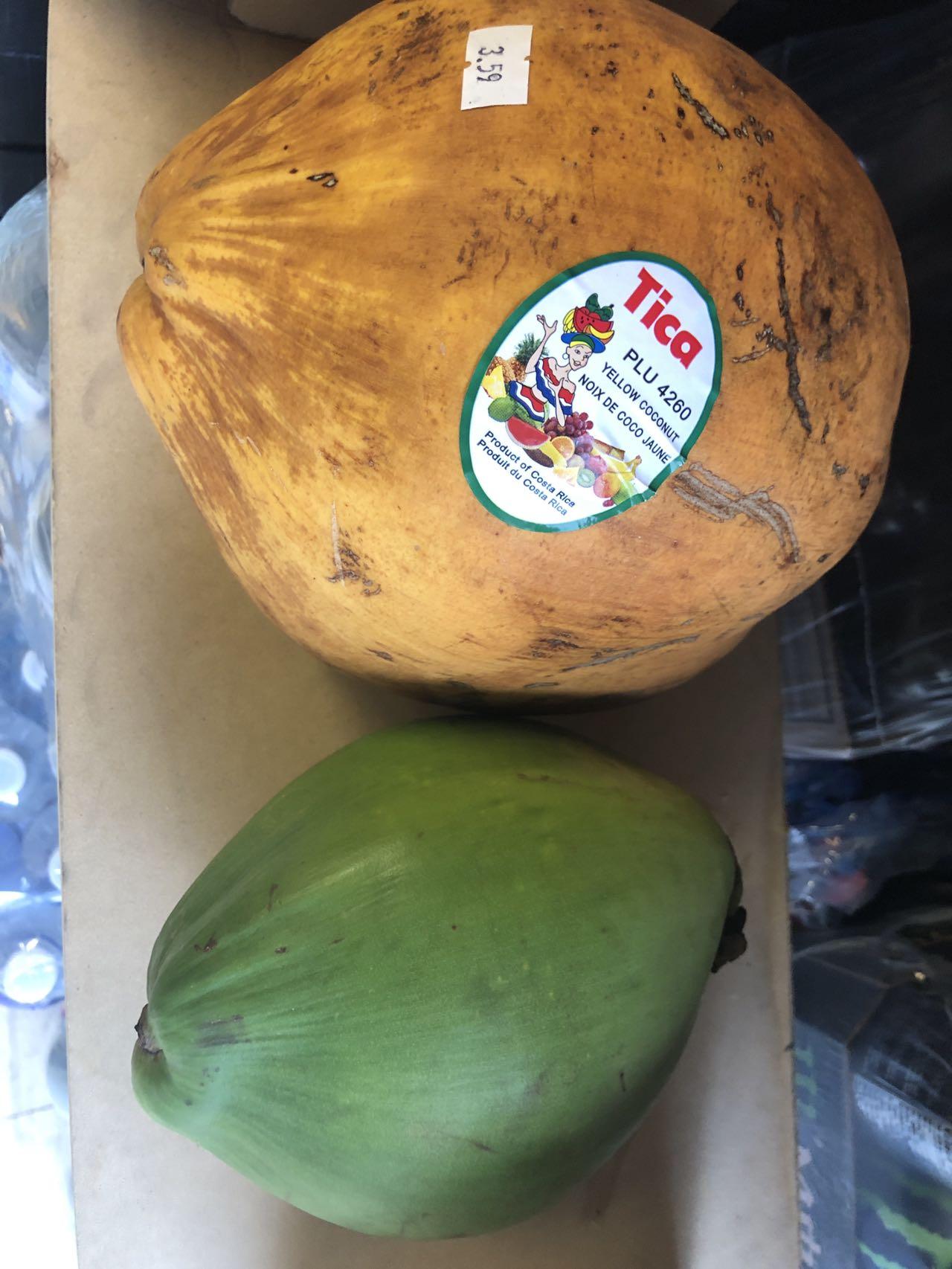 fresh coconut water from cut coconut -ready for drink with straw - Mart31